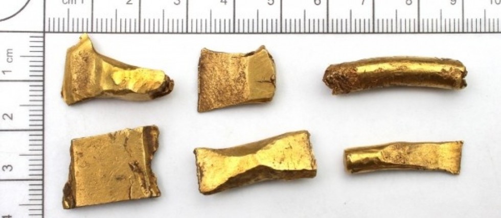 Metal Detectives Metal Detecting